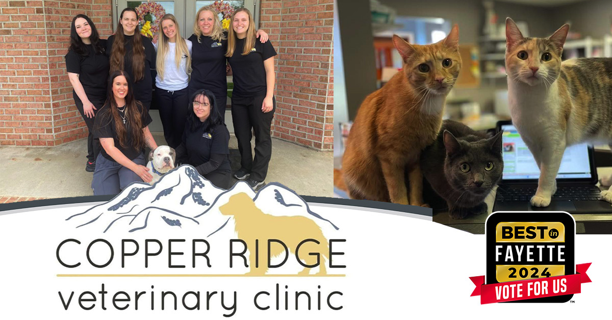 Copper Ridge Veterinary Clinic