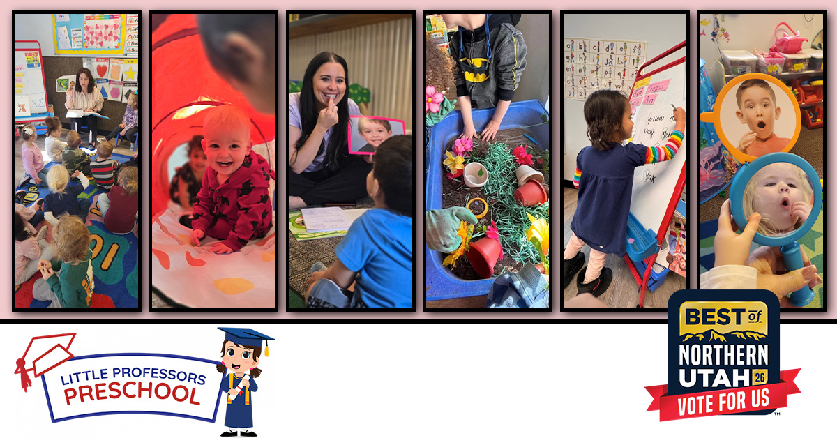 Little Professors Preschool