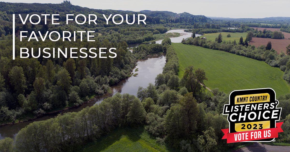 Vote For Your Favorite Business! - KMNT Country Listeners' Choice