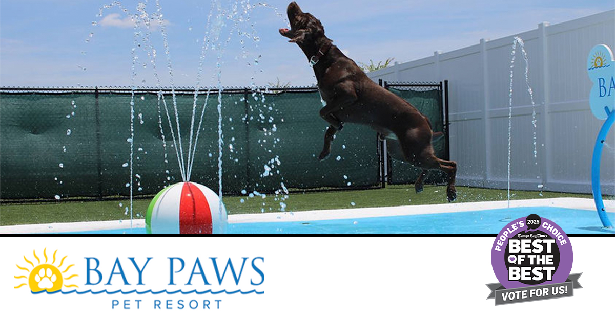 Bay Paws Pet Resort